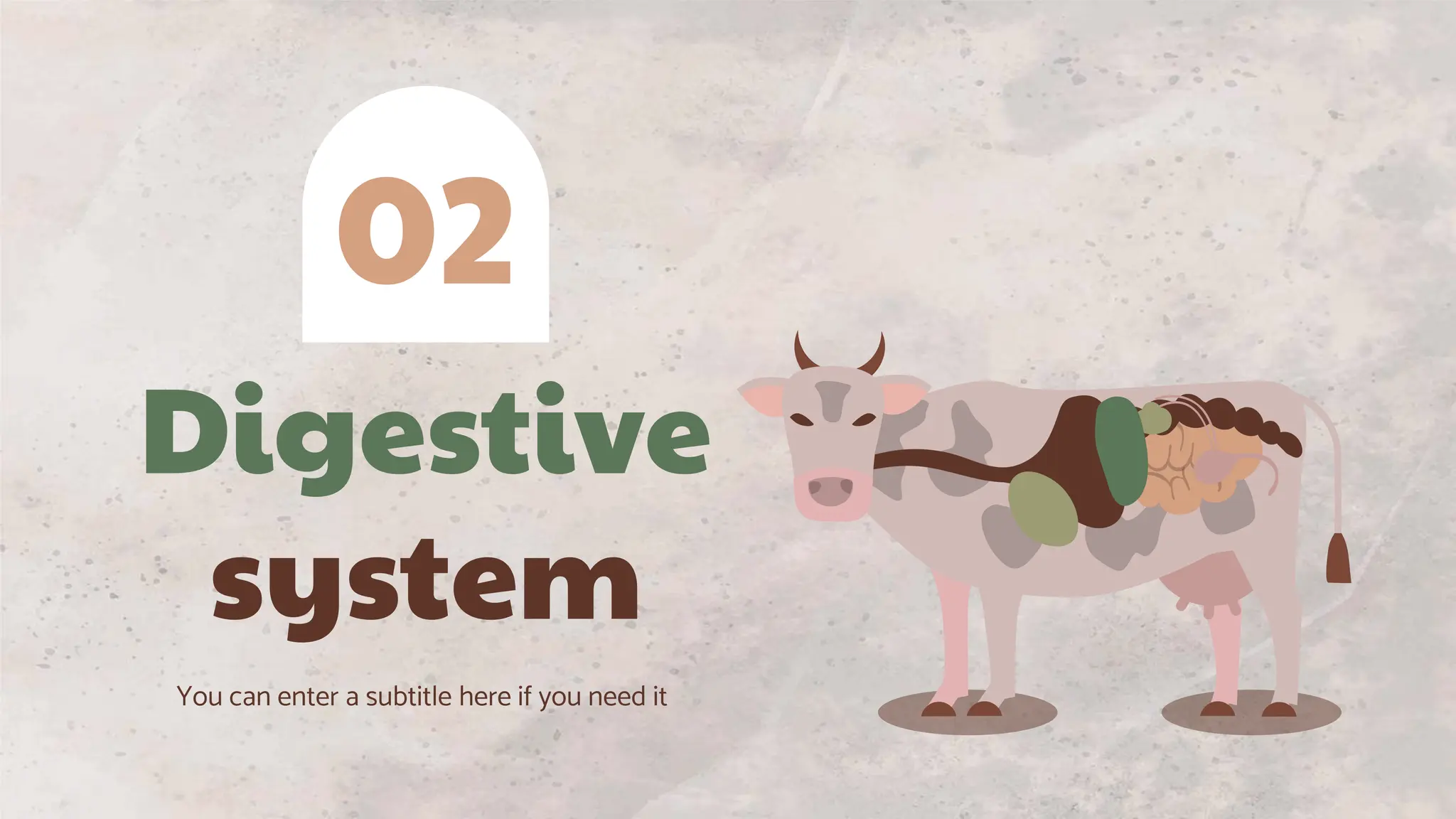 Animal Veterinary and Physiology Class by Slidesgo.pptx