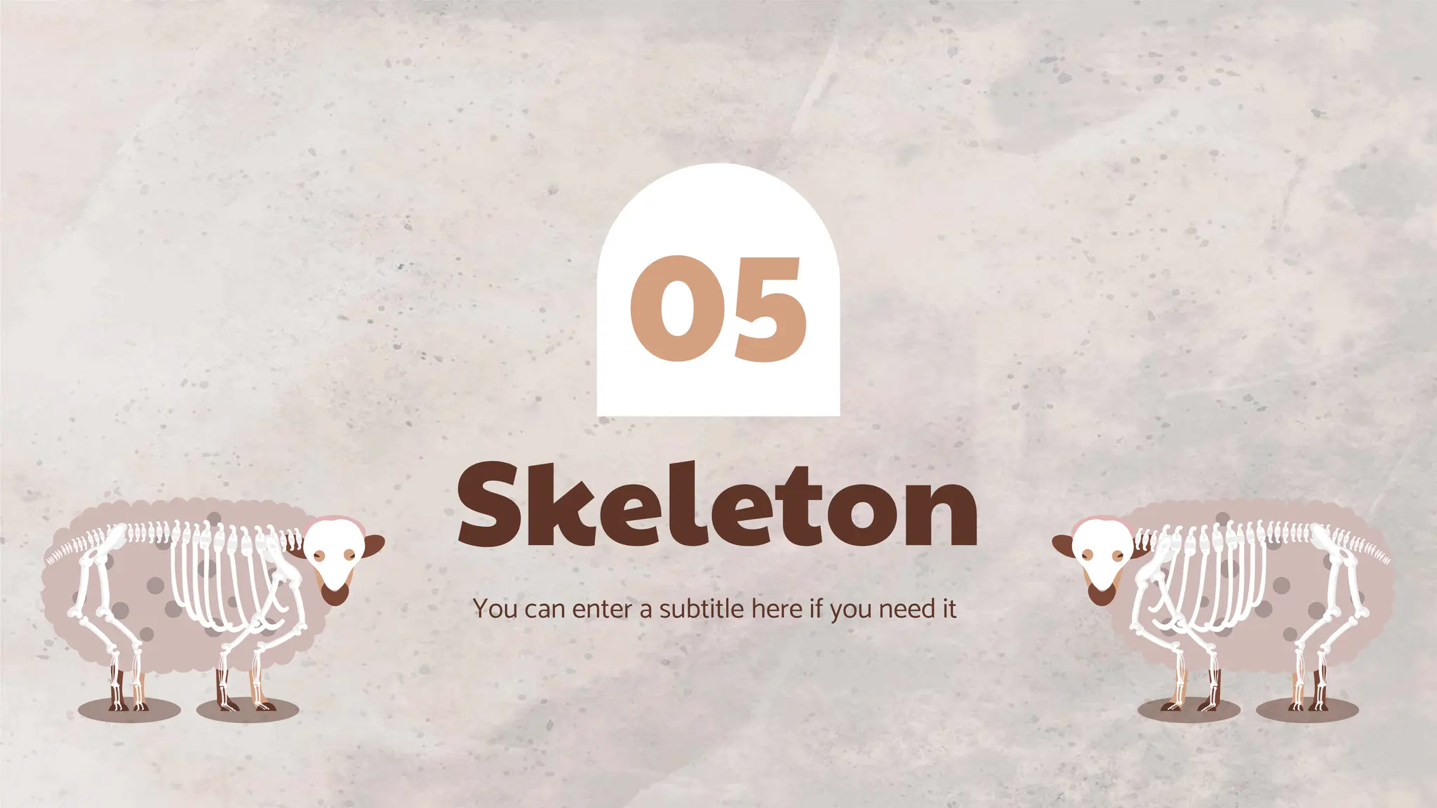 Animal Veterinary and Physiology Class by Slidesgo.pptx