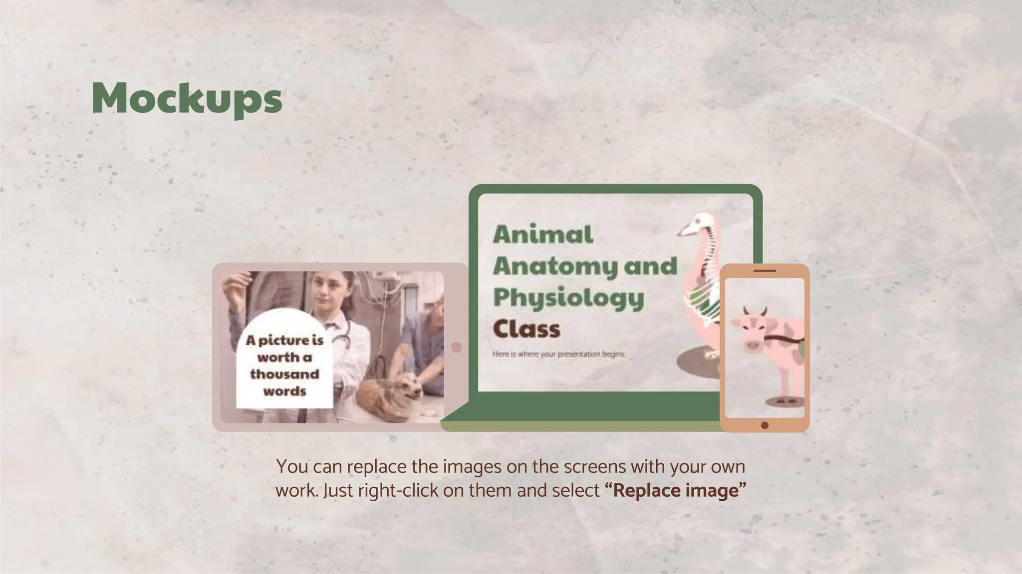 Animal Veterinary and Physiology Class by Slidesgo.pptx