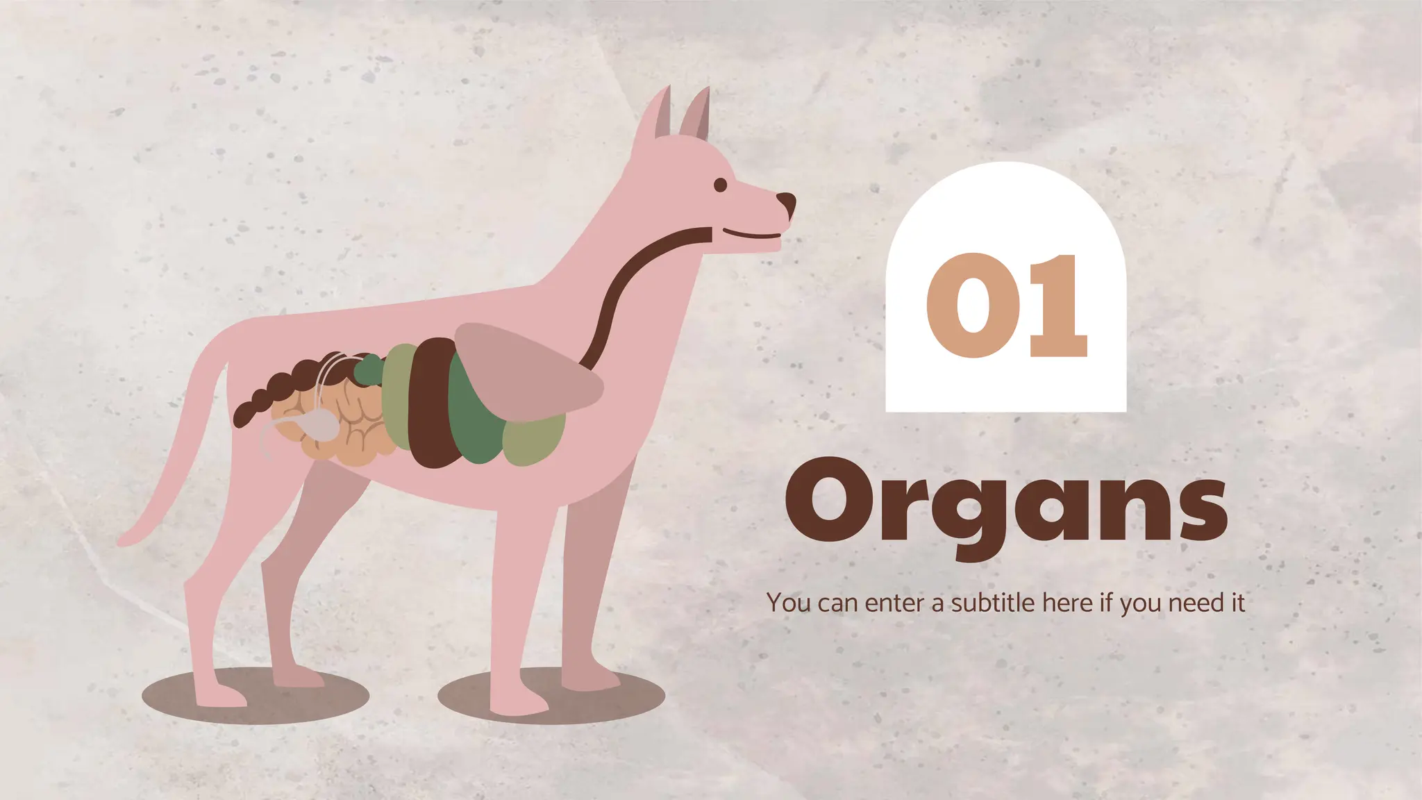 Animal Veterinary and Physiology Class by Slidesgo.pptx