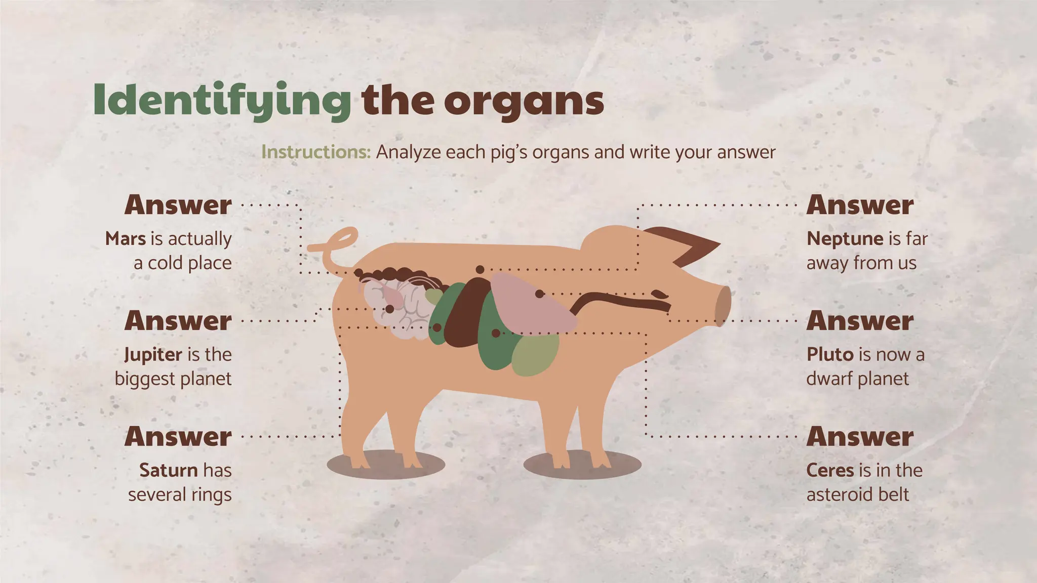 Animal Veterinary and Physiology Class by Slidesgo.pptx