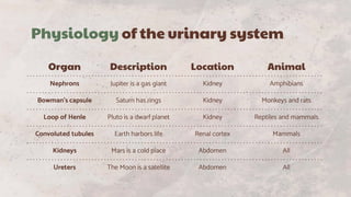 Animal Veterinary and Physiology Class by Slidesgo.pptx