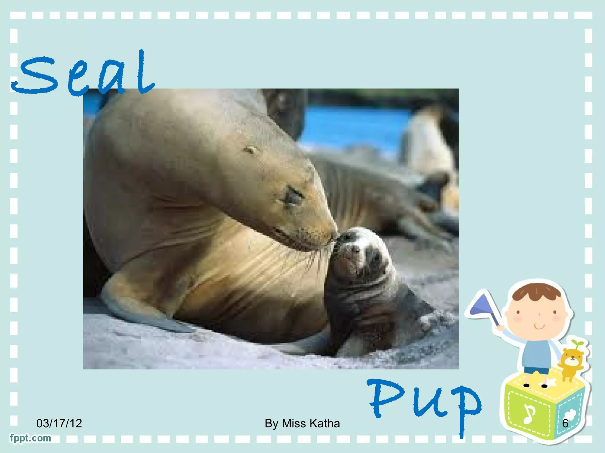 Animal and babies ppt | PPT