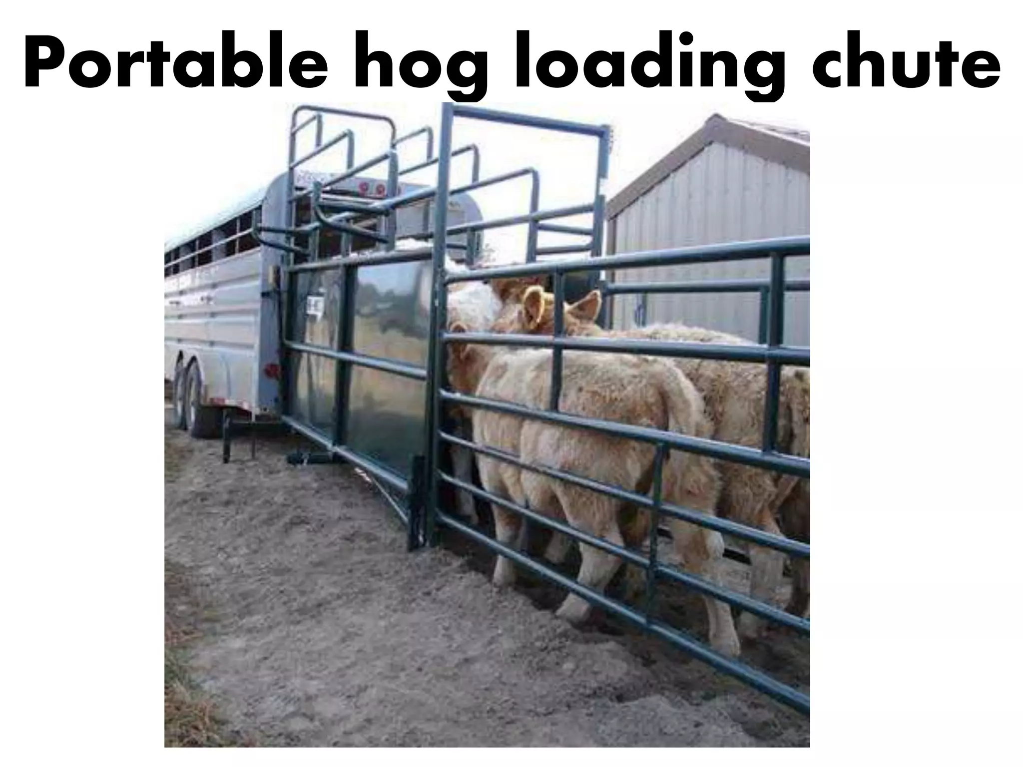 Animal and fish raising 6 | PPTX