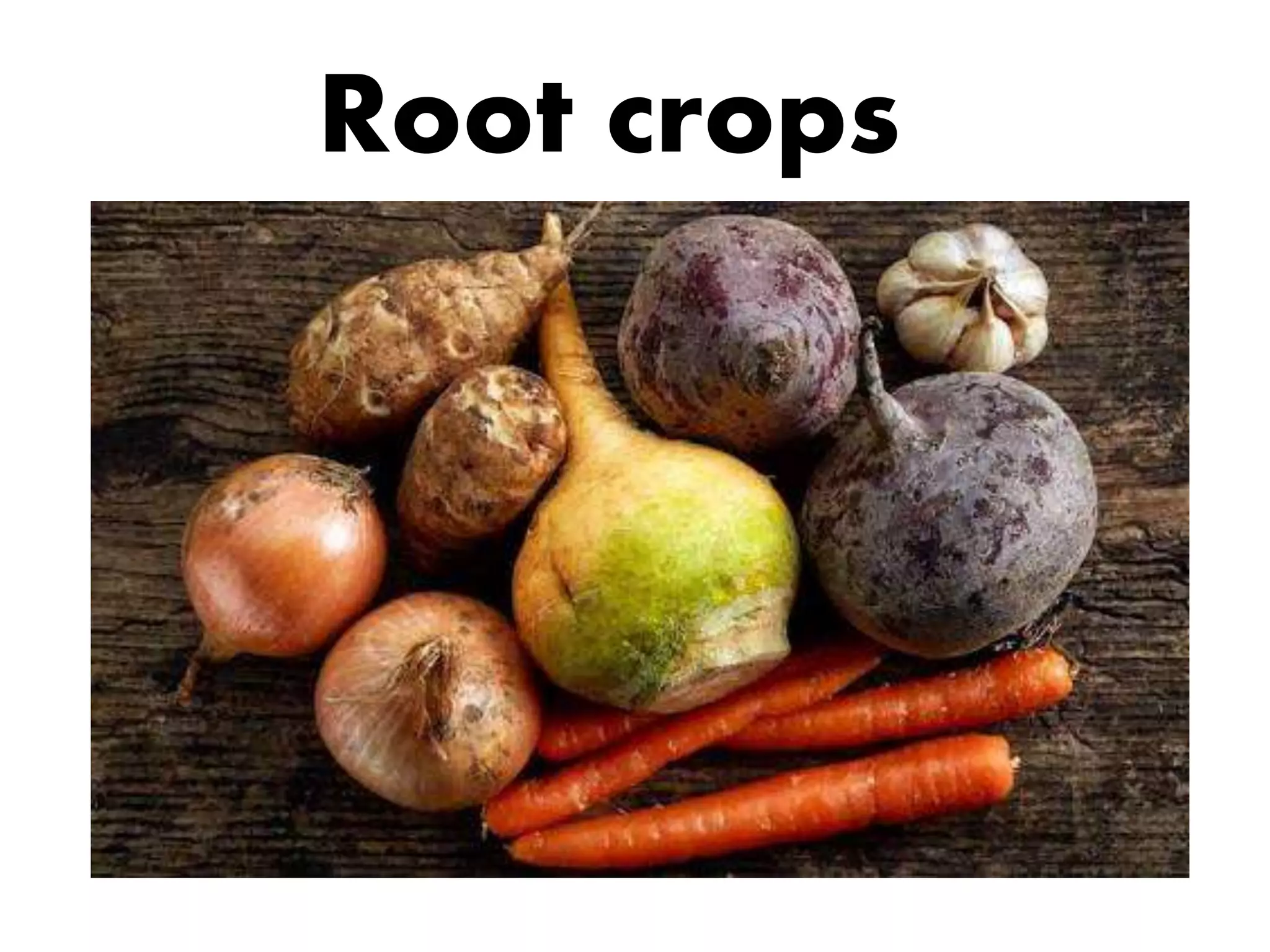 Animal and fish raising 6 | PPTX