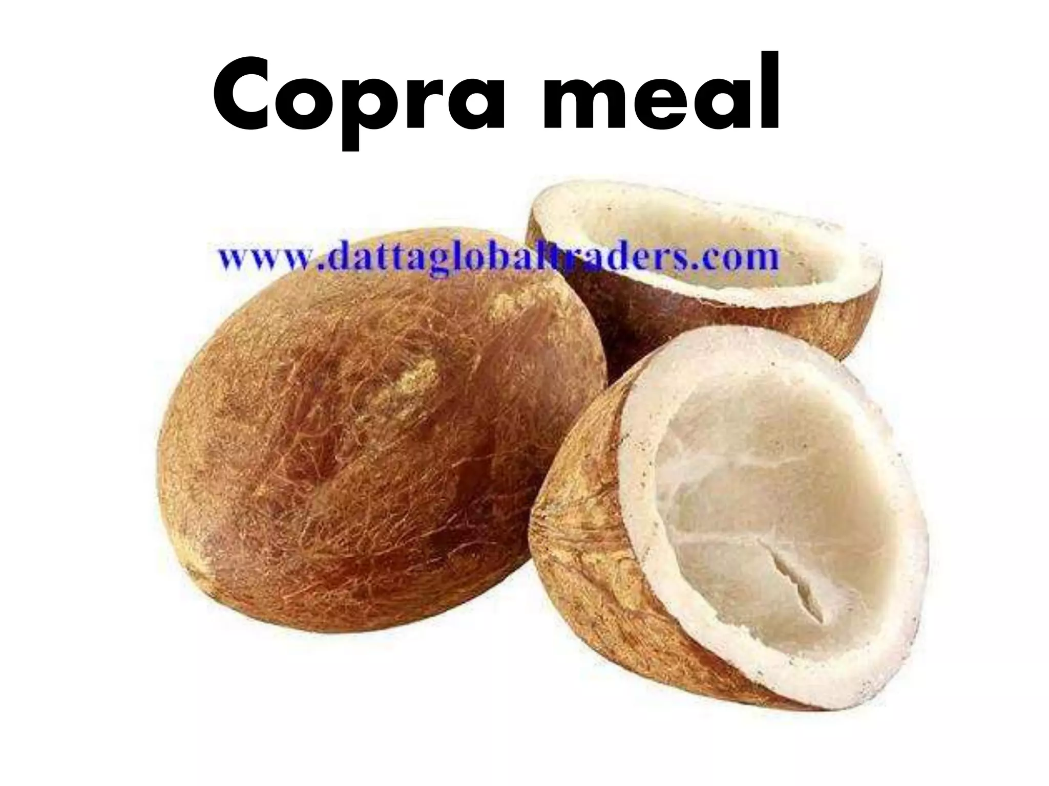 Animal and fish raising 6 | PPTX