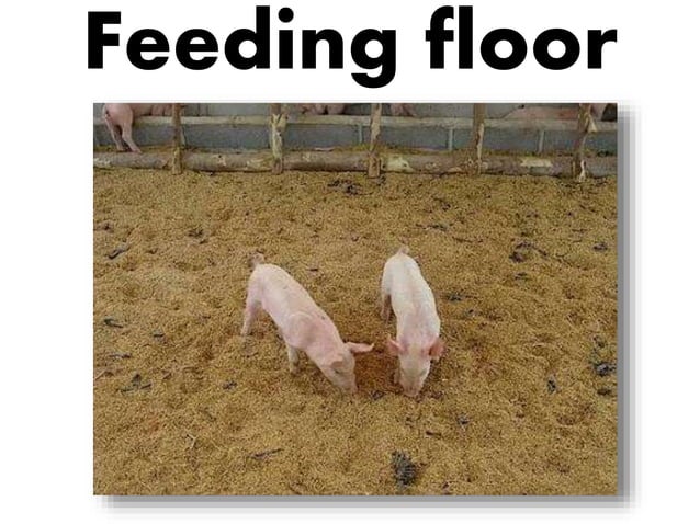 Animal and fish raising 6 | PPTX