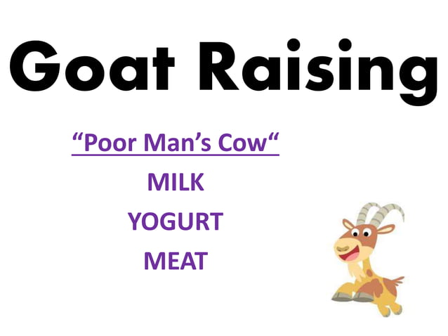 Animal and fish raising 6 | PPTX