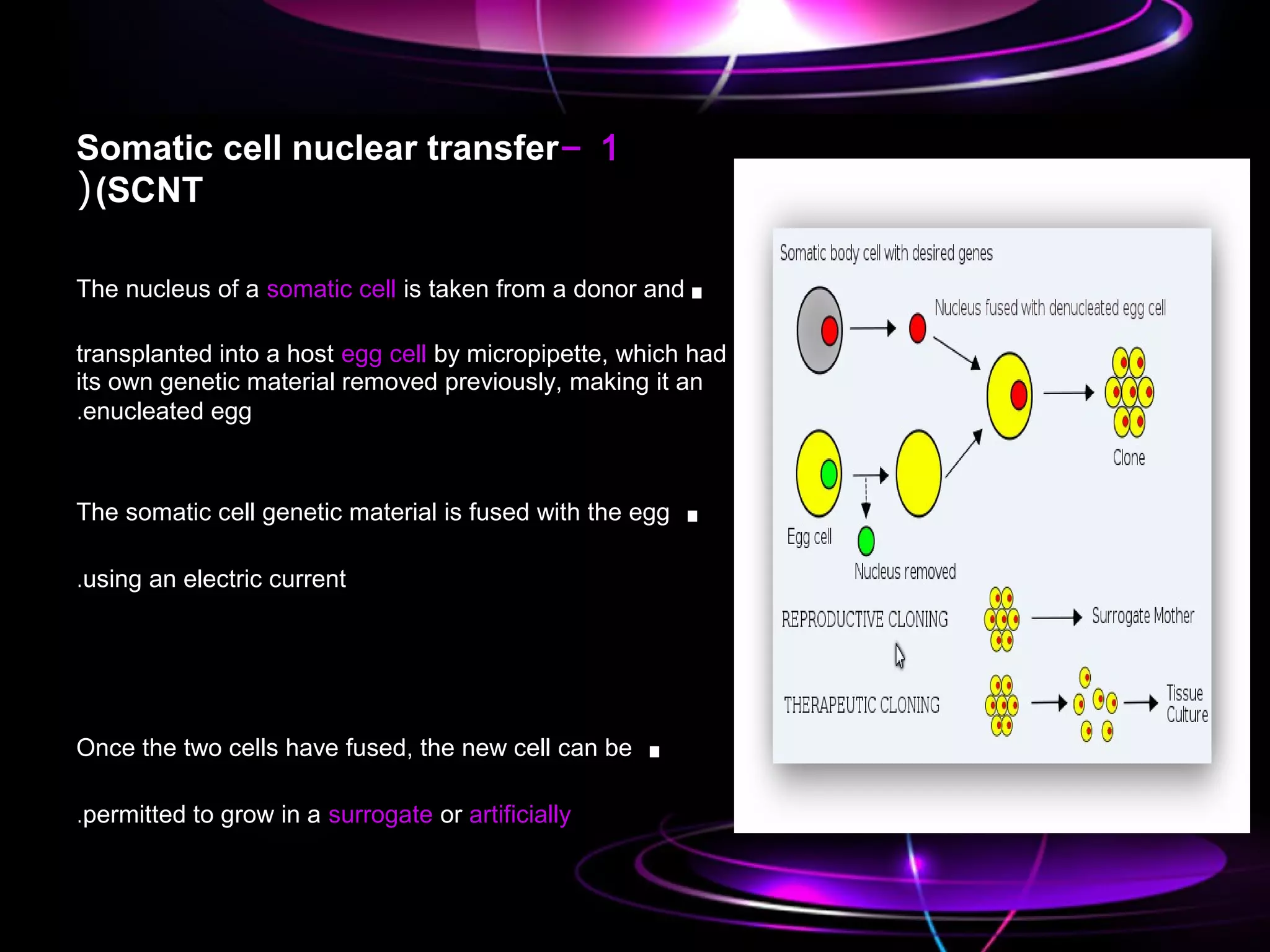 Animal and human cloning | PPT