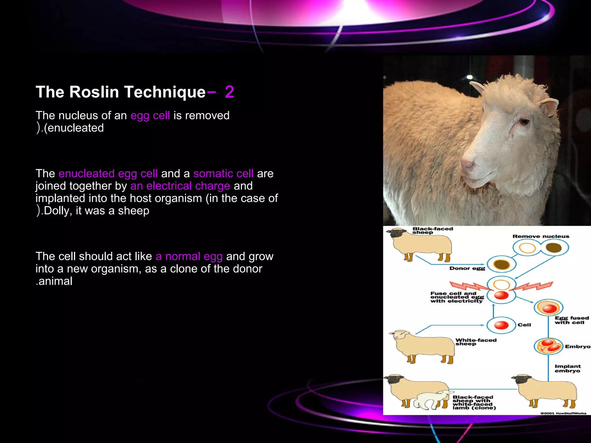 Animal and human cloning | PPT