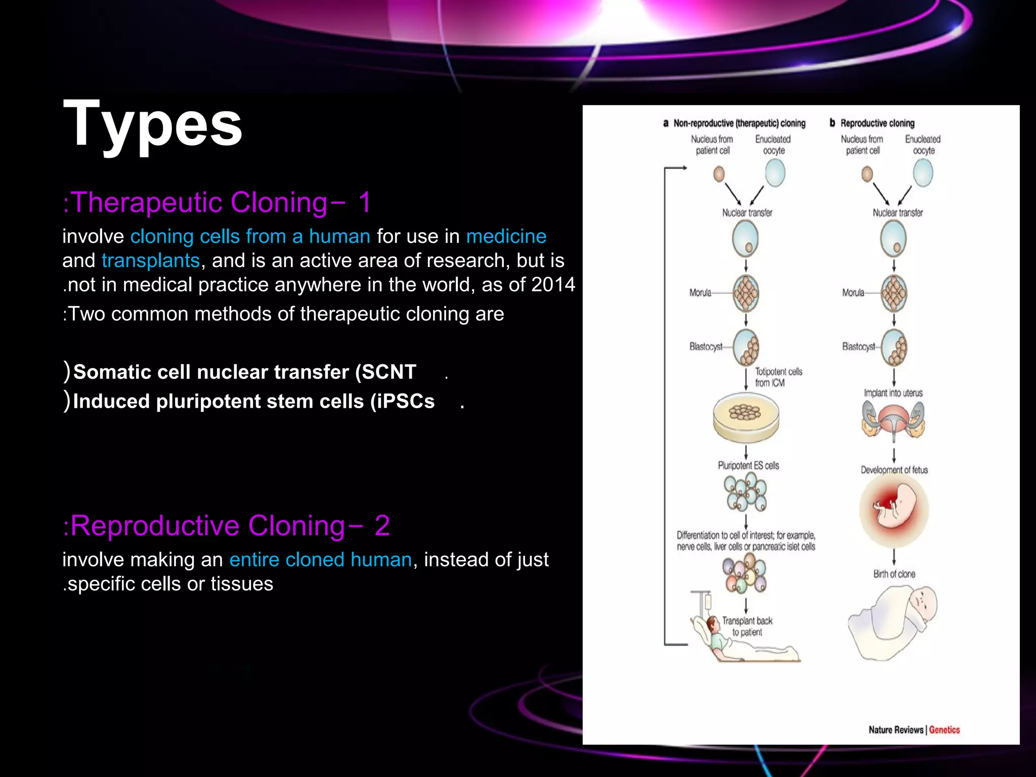 Animal and human cloning | PPT