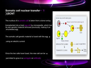 Animal and human cloning | PPT