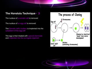 Animal and human cloning | PPT