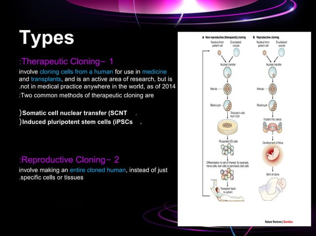 Animal and human cloning | PPT | Reproductive Health | Diseases and ...