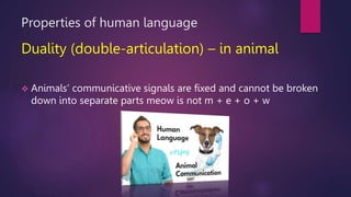 Animal_and_Human_Language(1).pptx