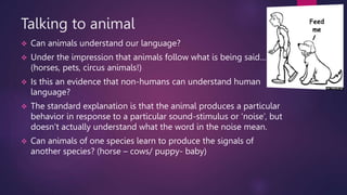 Animal_and_Human_Language(1).pptx