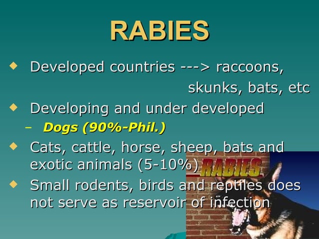 Animal And Insect Bites | PPT | First Aid | Injuries