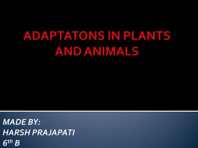 Animal and plant adaptation | PPTX | Geography | Science