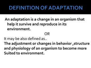 Animal and plant adaptation | PPTX