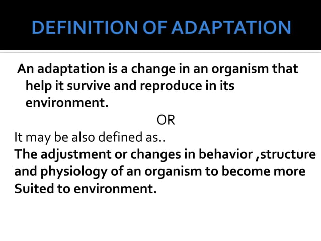 Animal and plant adaptation | PPTX | Geography | Science