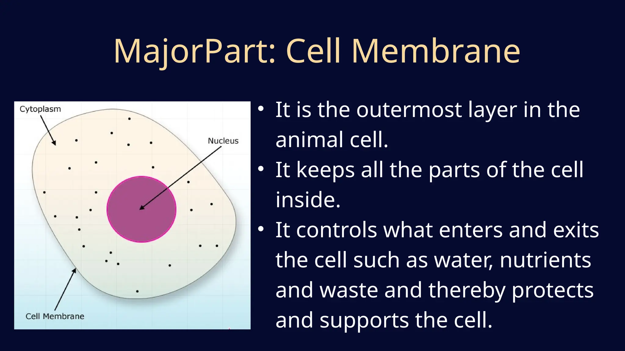 Animal and Plant Cell Presentation.pptx