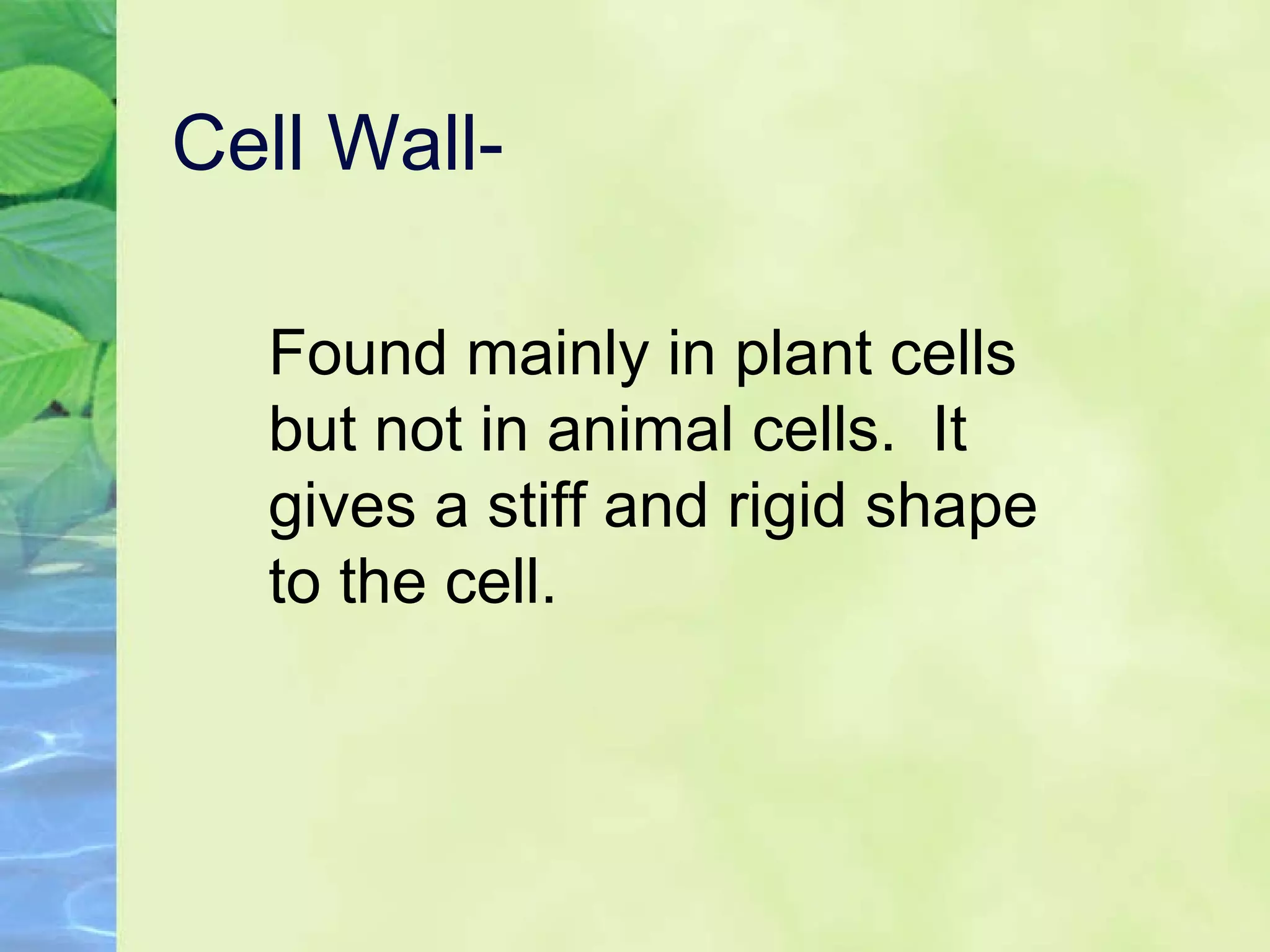 Animal and Plant Cells | PPT