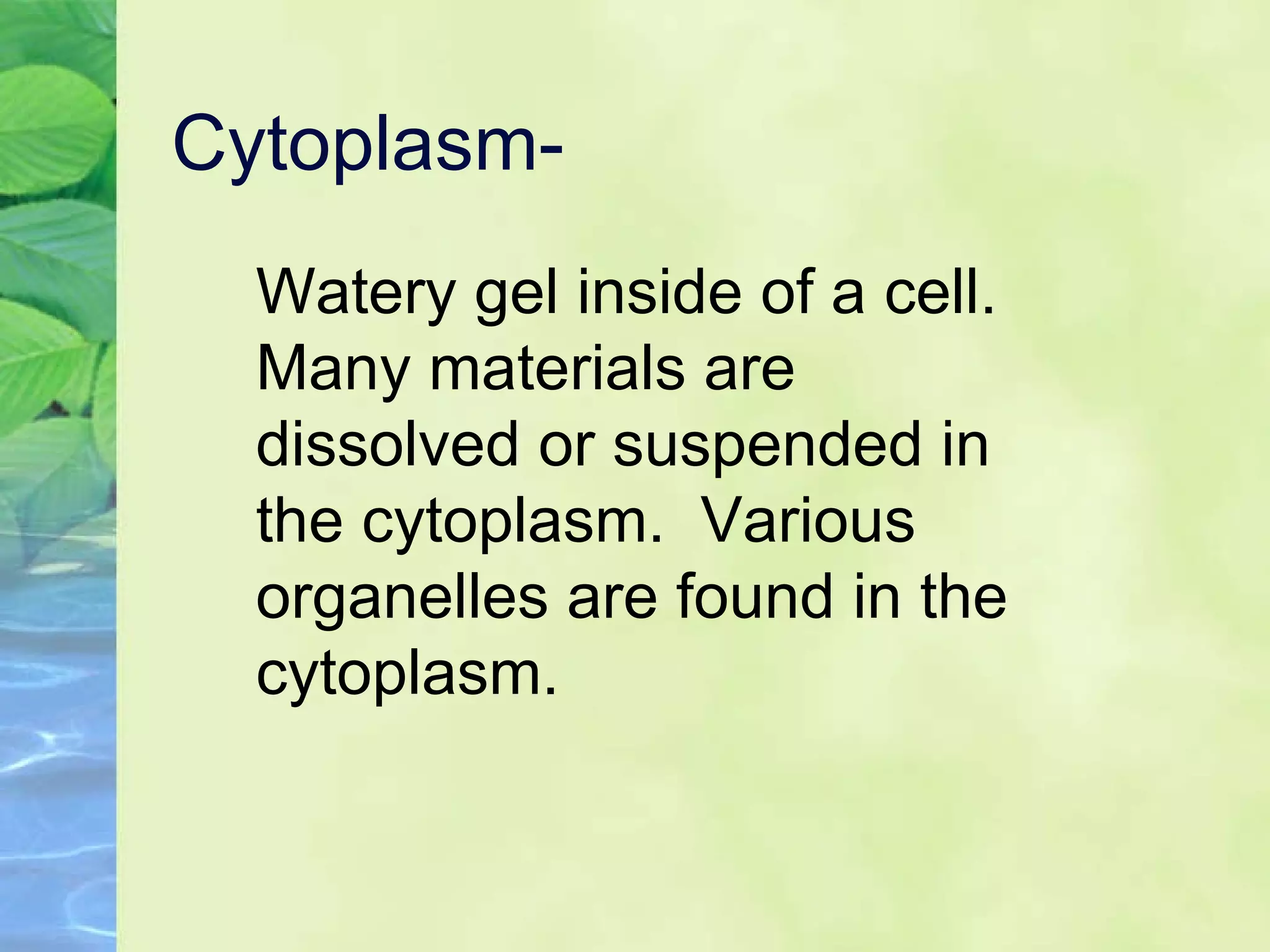 Animal and Plant Cells | PPT