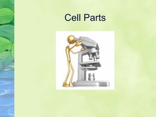 Animal and Plant Cells | PPT