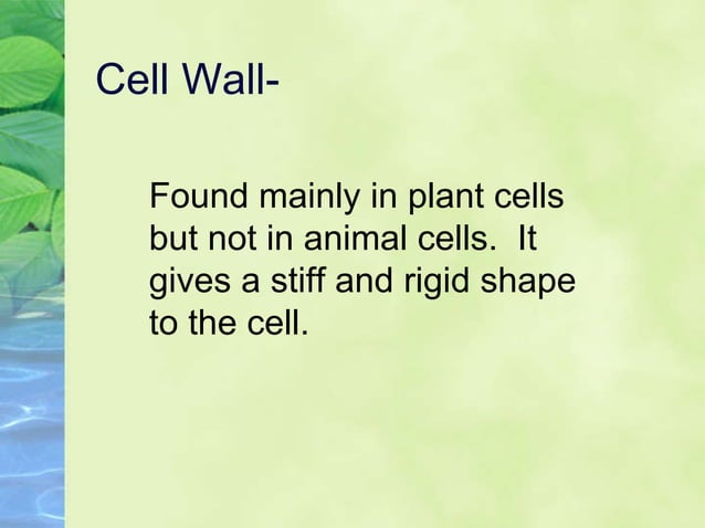 Animal and Plant Cells | PPT | Biological Sciences | Science