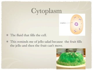 Animal and plant cells 7nr | KEY | Biological Sciences | Science