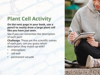 animal and plant cells biology year 7.pptx