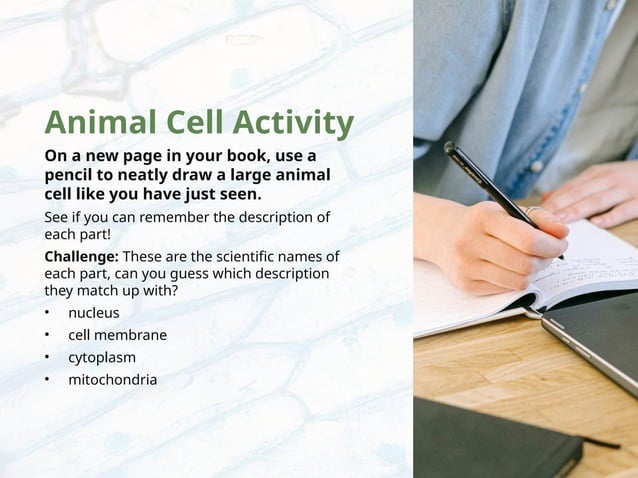 animal and plant cells biology year 7.pptx