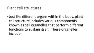 cell and molecular biology: Animal and Plant cells | PPT