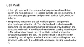 cell and molecular biology: Animal and Plant cells | PPT