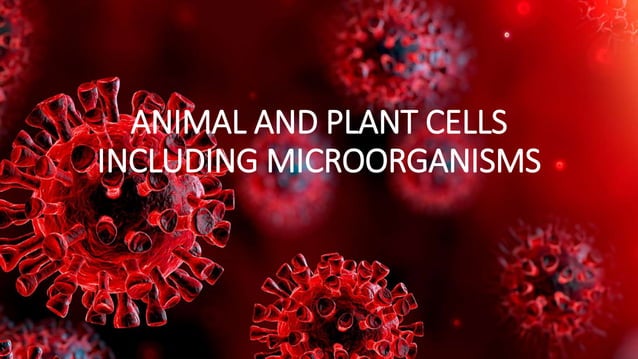 Animal and plant cells including microorganisms | PPT
