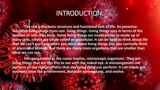 Animal and plant cells including microorganisms | PPT