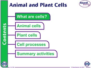 Animal and Plant Cells v1.0.ppt animal and plant cell | PPT