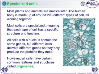 Animal and Plant Cells v1.0.ppt animal and plant cell | PPT