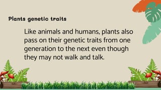 Animal and plant genetic traits for elementary | PPTX