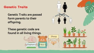 Animal and plant genetic traits for elementary | PPTX