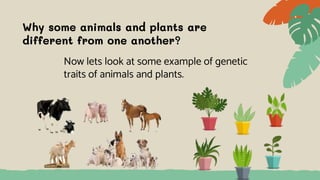 Animal and plant genetic traits for elementary | PPT