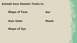 Animal and plant genetic traits for elementary | PPTX