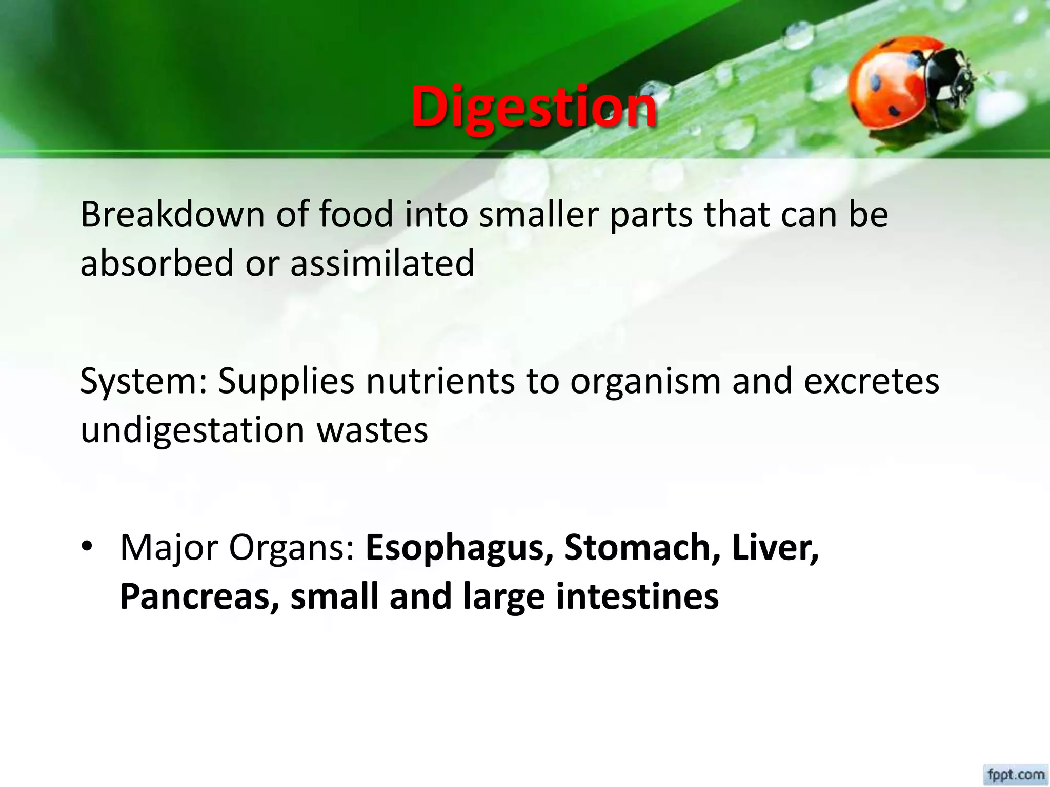 Animal and plant organs & systems | PPTX