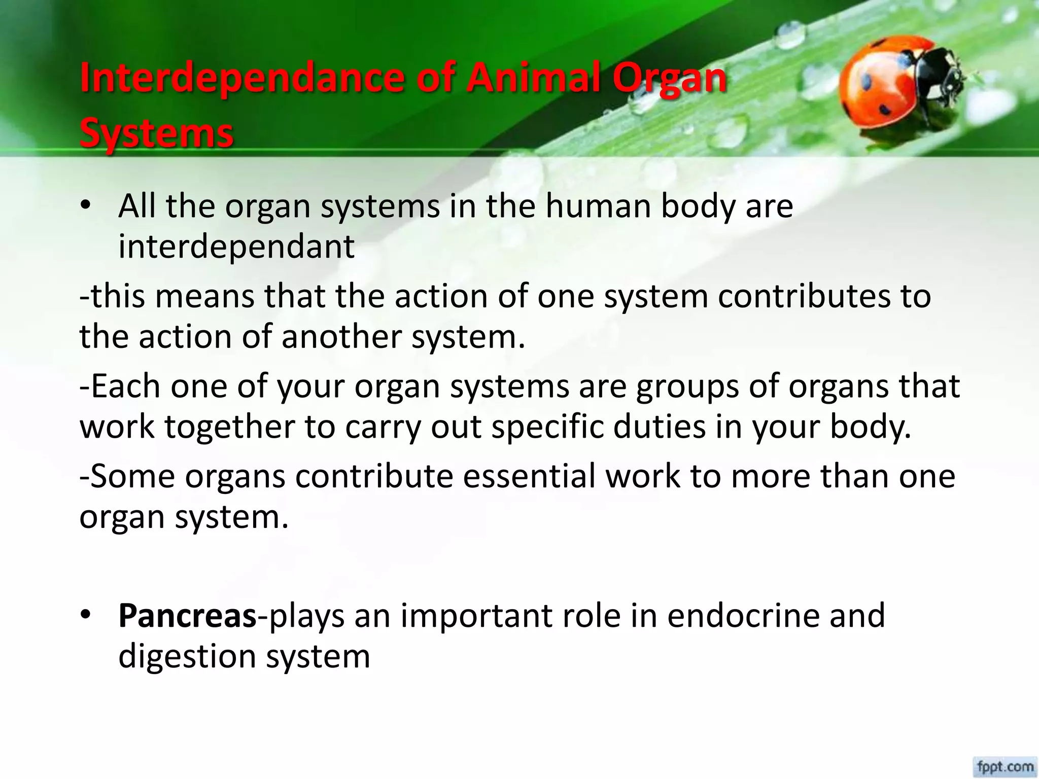 Animal and plant organs & systems | PPTX