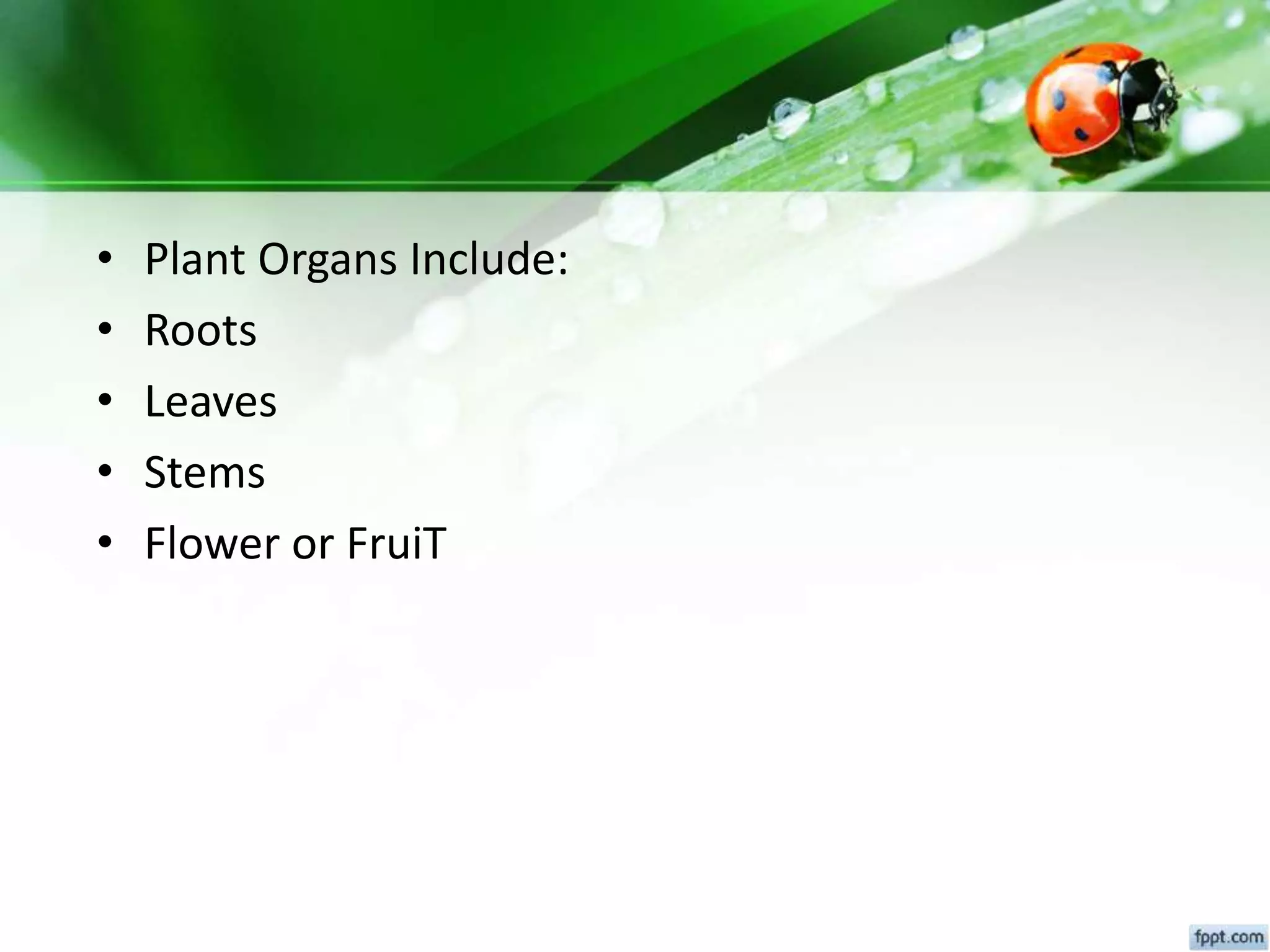 Animal and plant organs & systems | PPTX