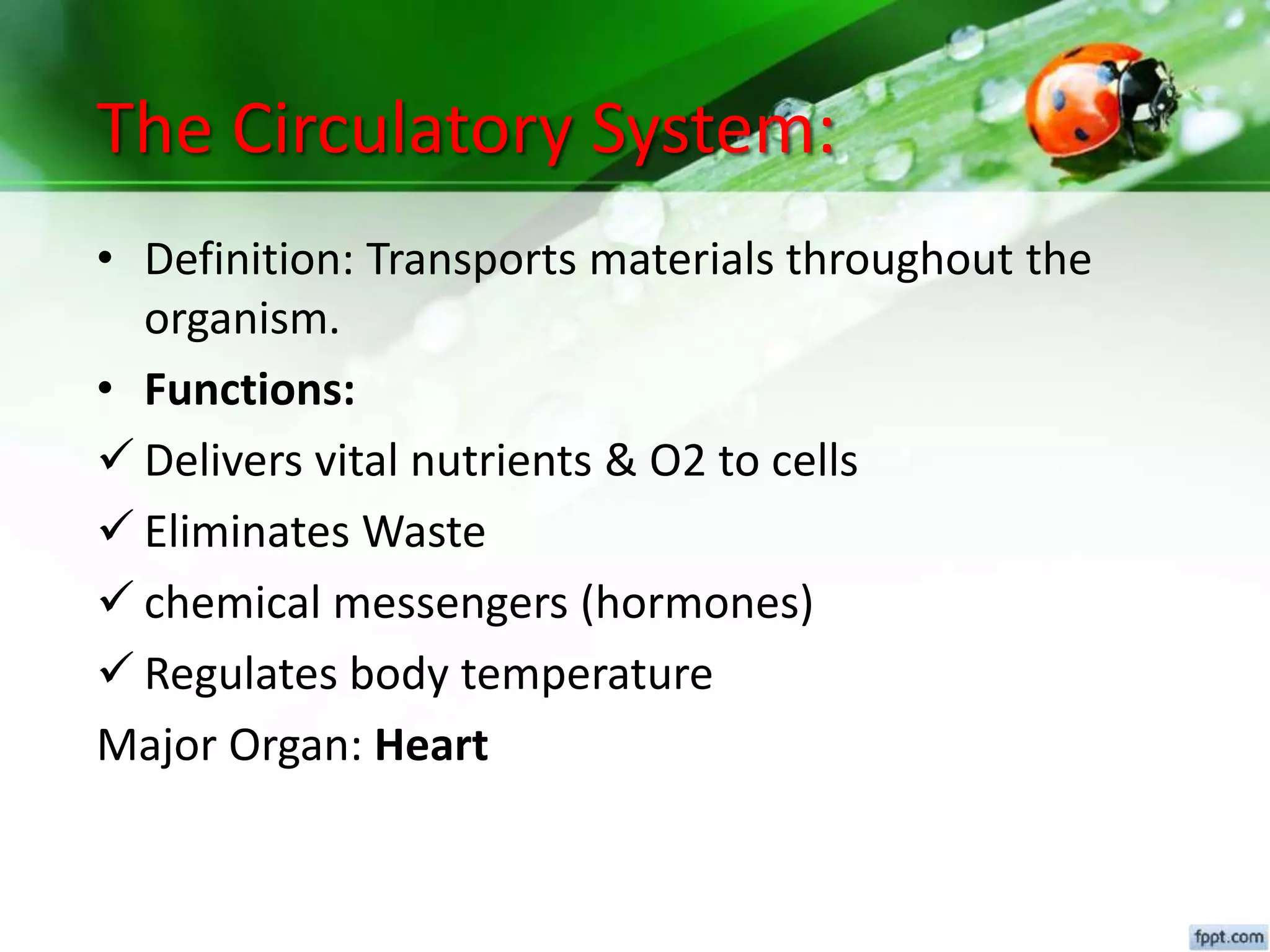 Animal and plant organs & systems | PPTX