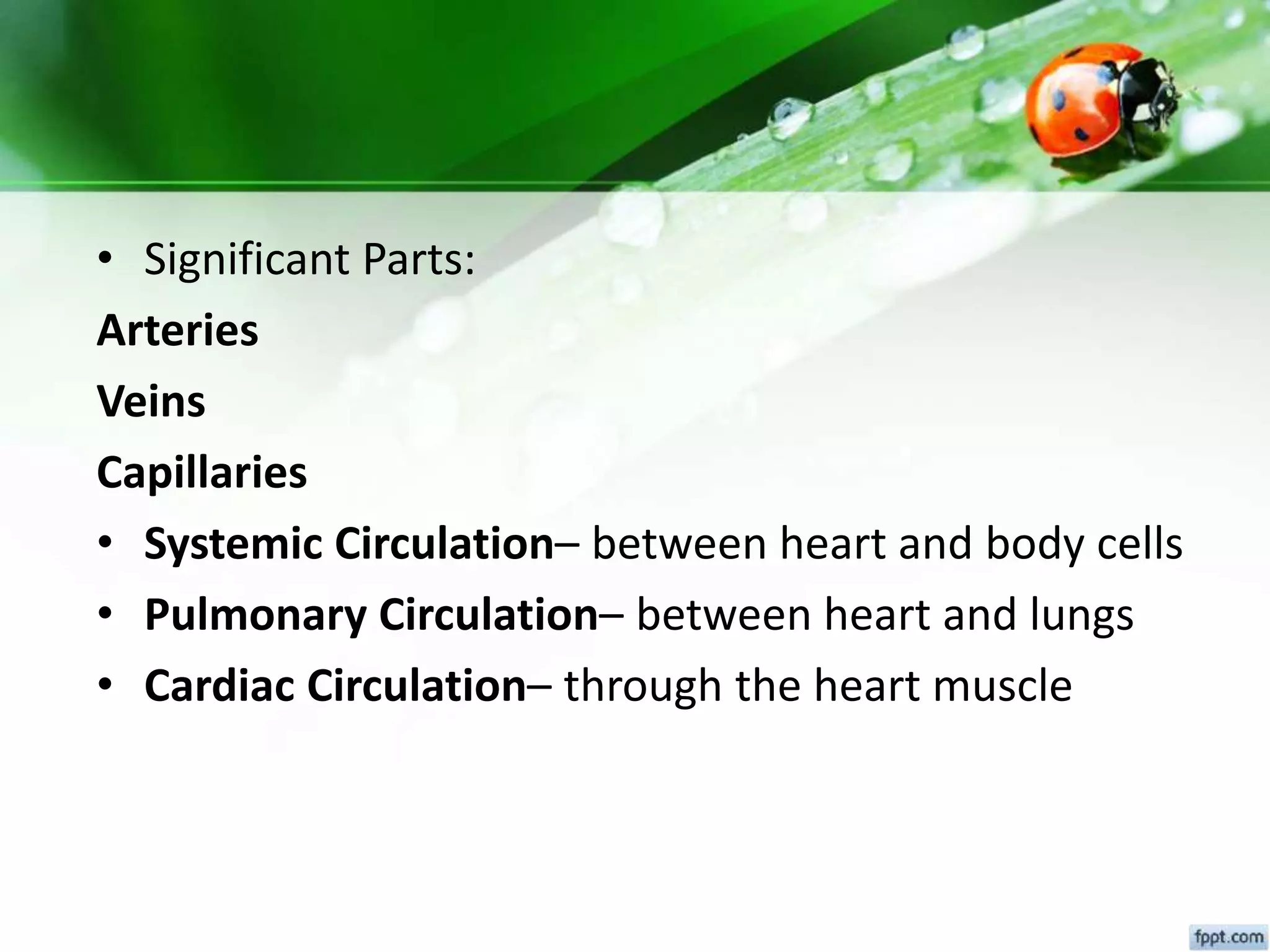 Animal and plant organs & systems | PPTX