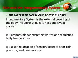 Animal and plant organs & systems | PPTX