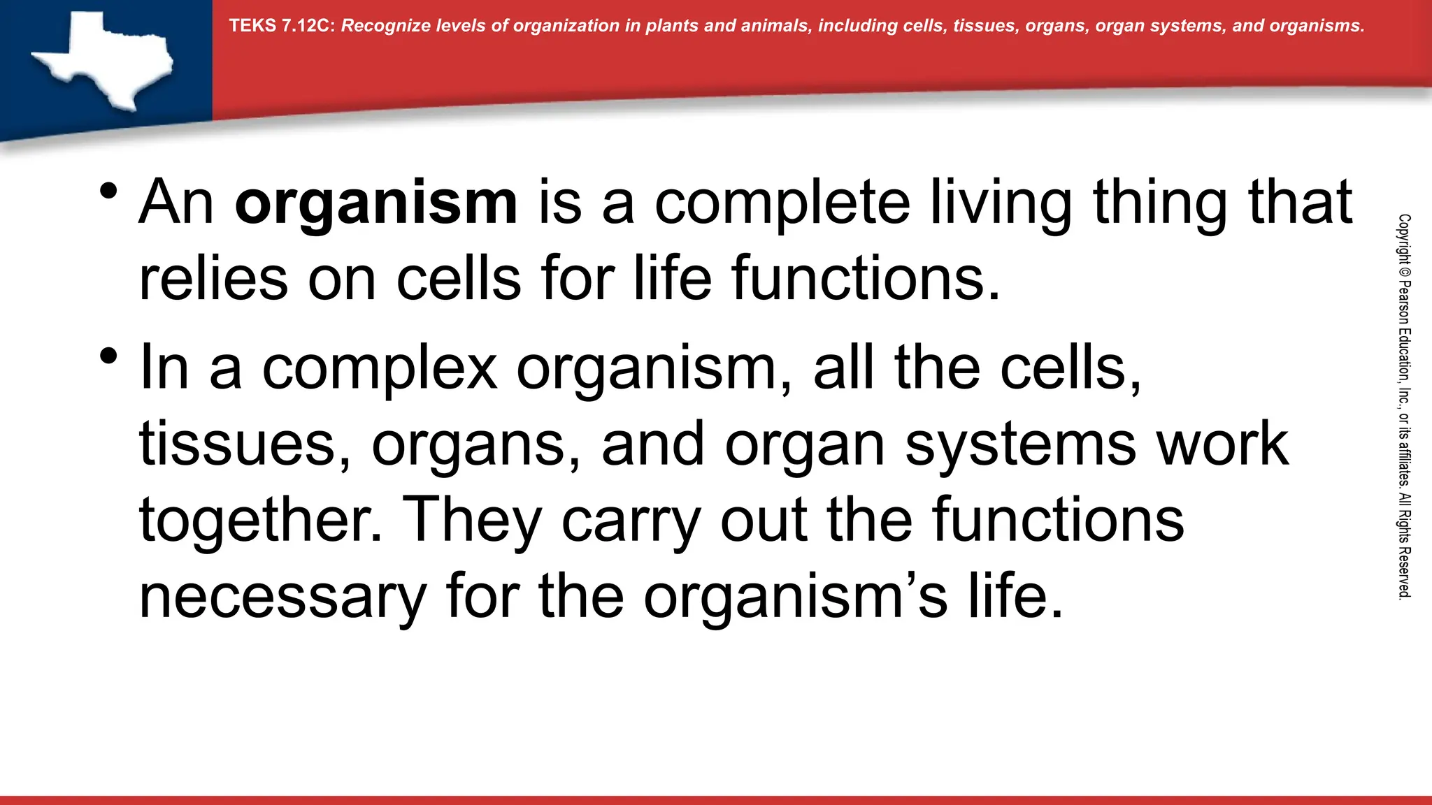 animal and plant organ systems and their funtion_L1.pptx