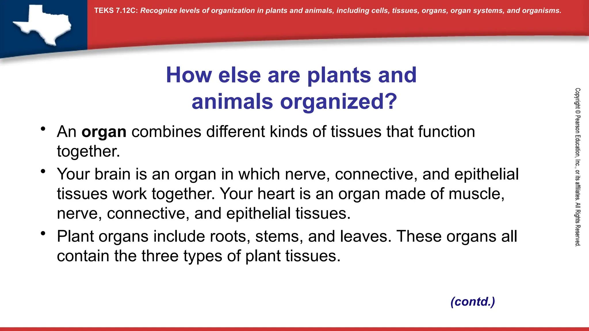 animal and plant organ systems and their funtion_L1.pptx